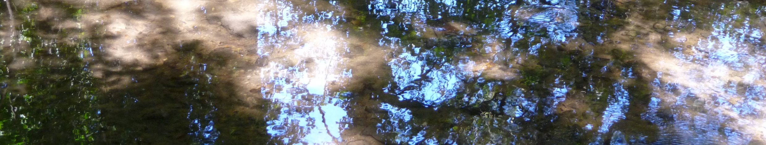 Craig Sutton - ETILESUMETILESUM